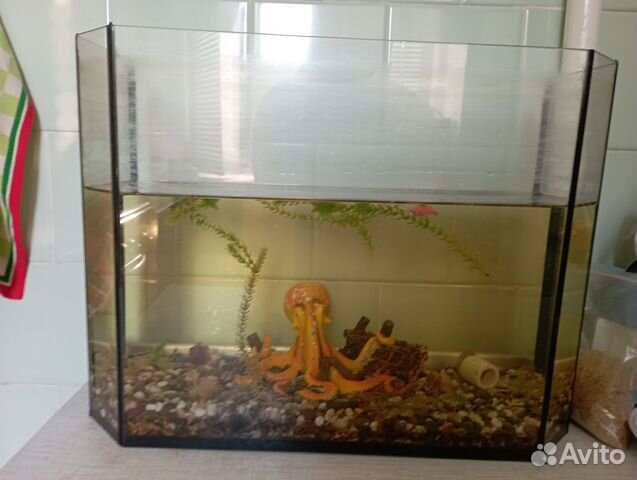 Аквариум с рыбками