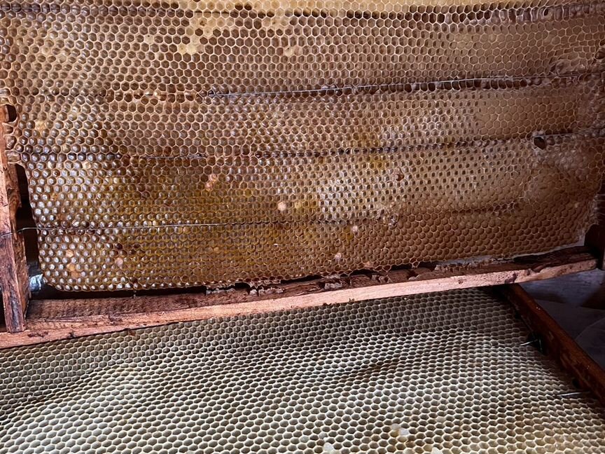 Рамка сушь для пчел