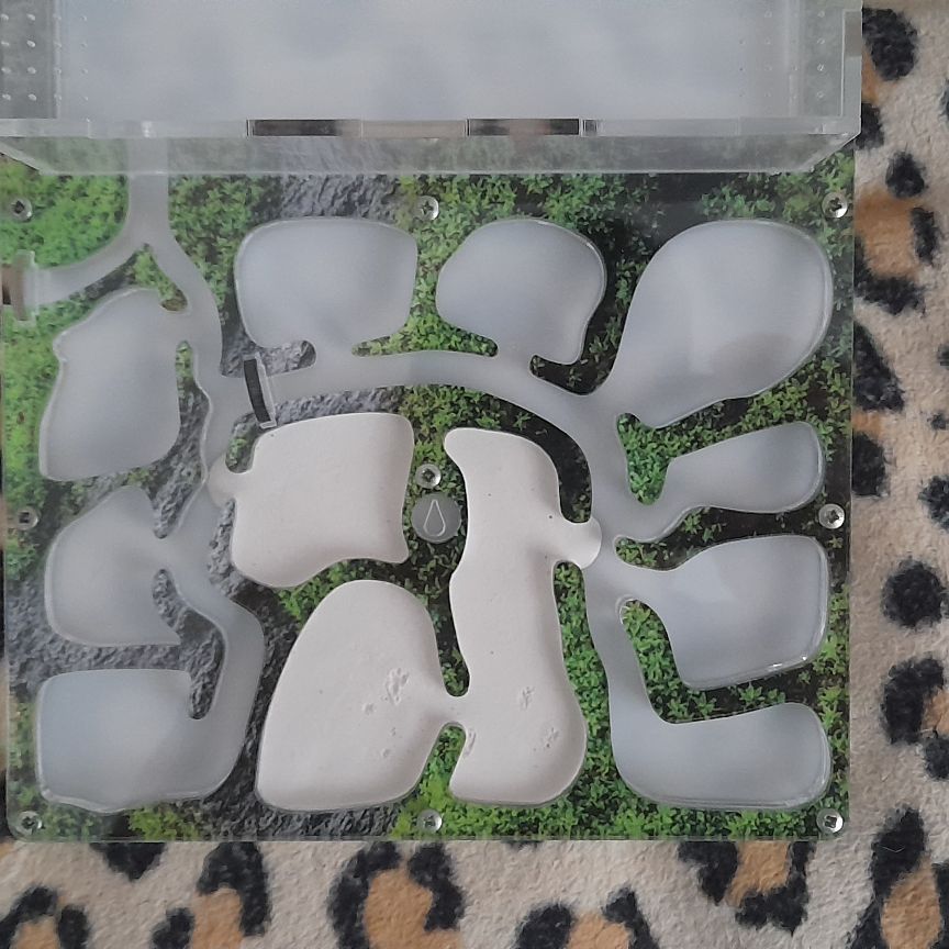 Формикарий, муравьиная ферма Mr. Ant