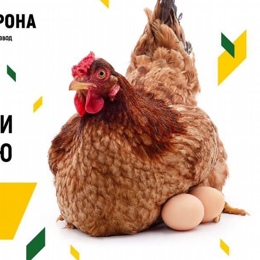 Южная корона комбикорм