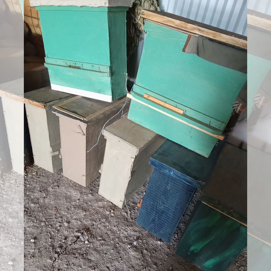 Ловушки, рамки, раевня для пчел