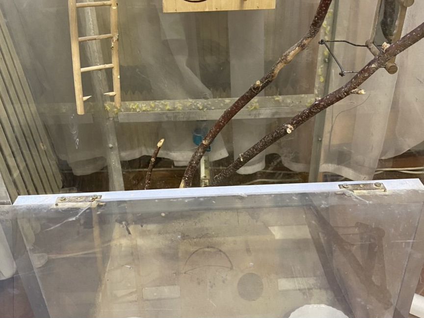 Клетка из оргстекла для попугаев