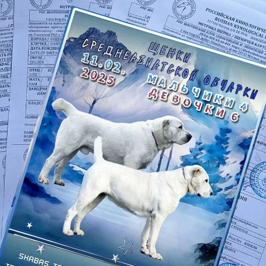 Мальчики и девочки сао