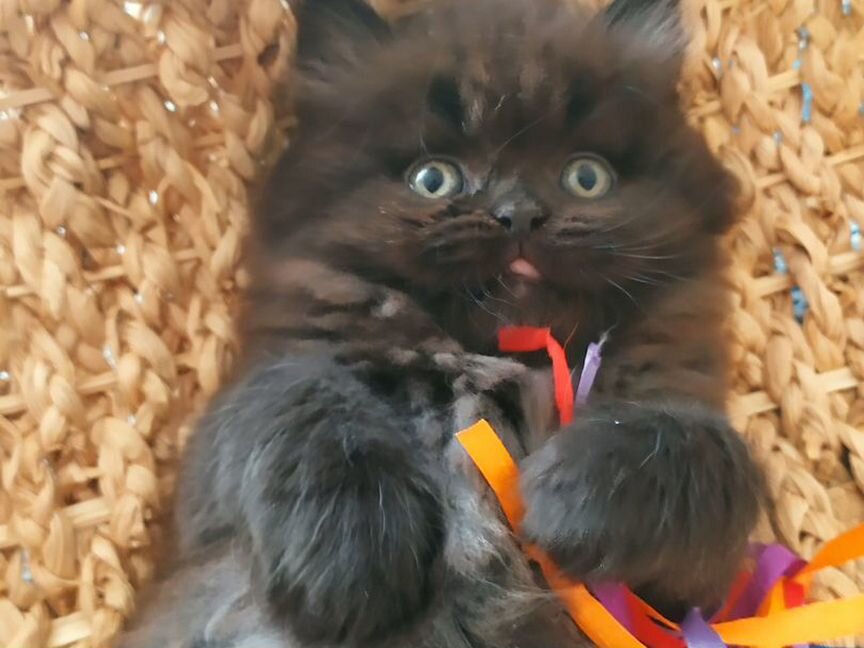 Симпатичные парнишки