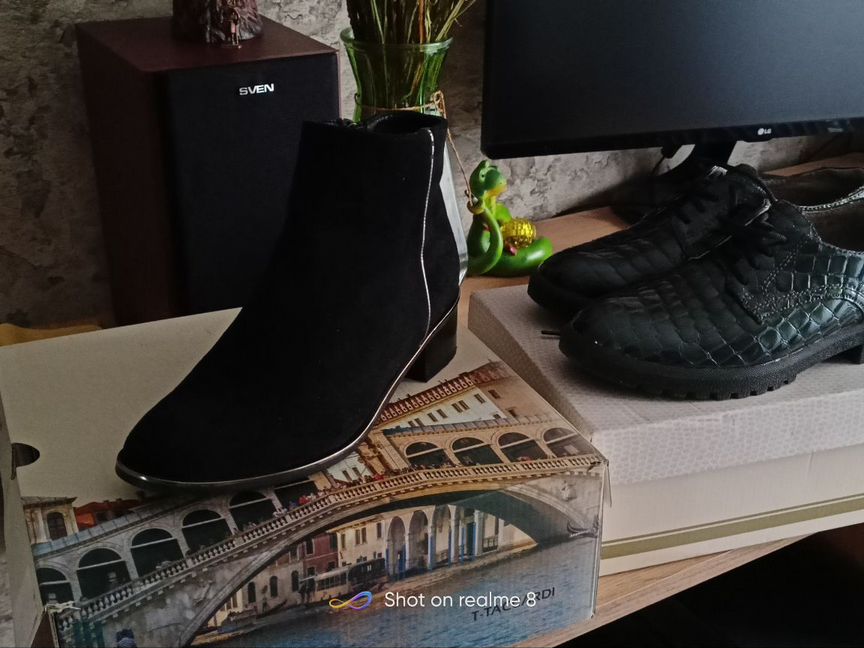 Отдам за корм Шеба