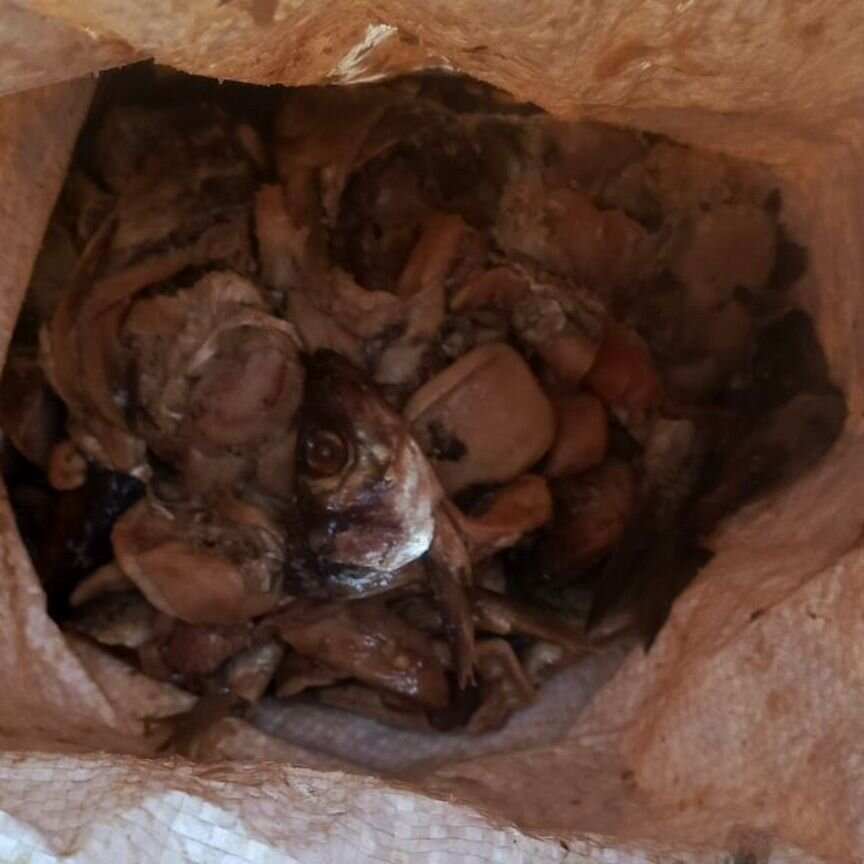 Рыбные отходы