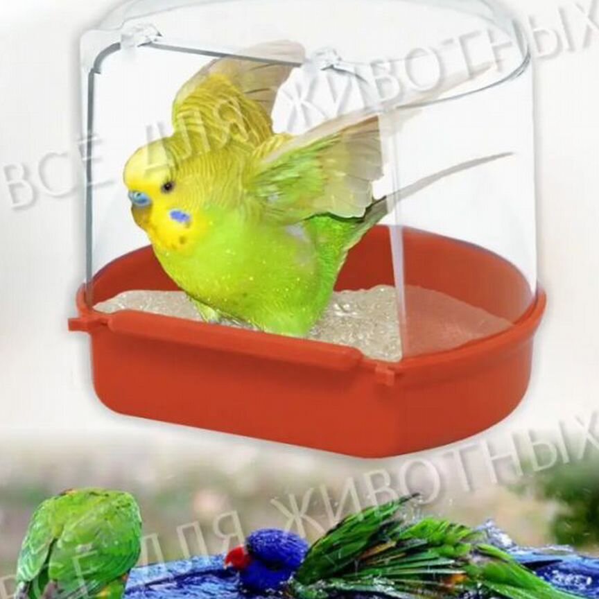 Купалка для птиц