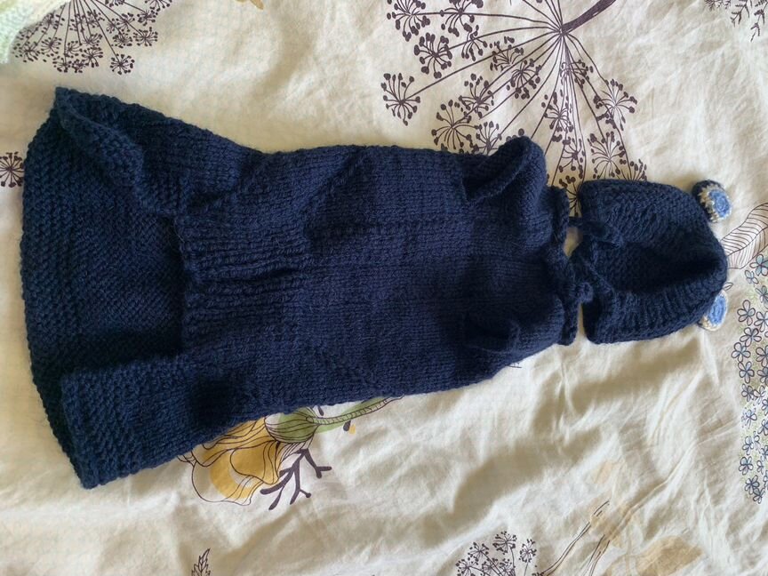 Костюм для собаки