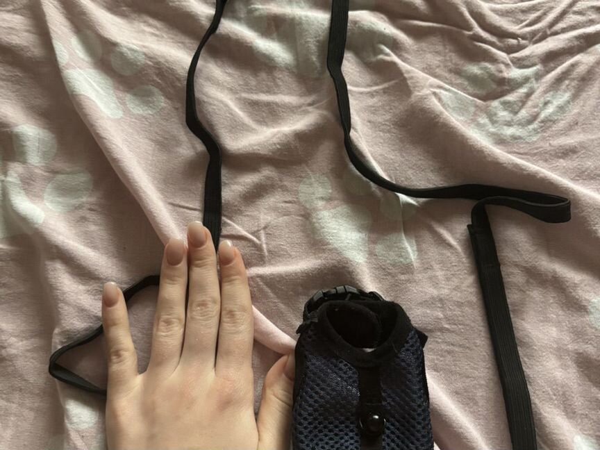 Шлейка для грызунов