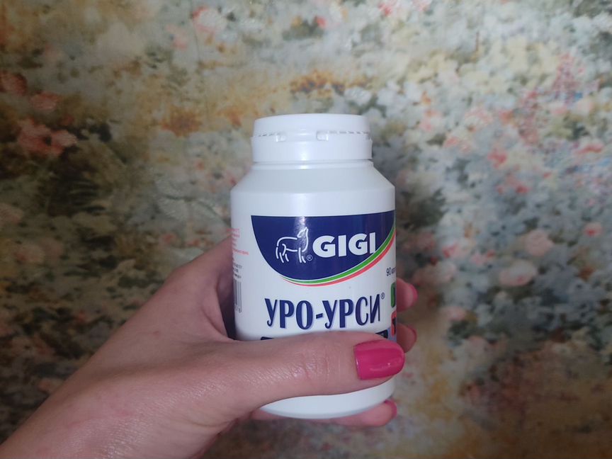 Уро урси