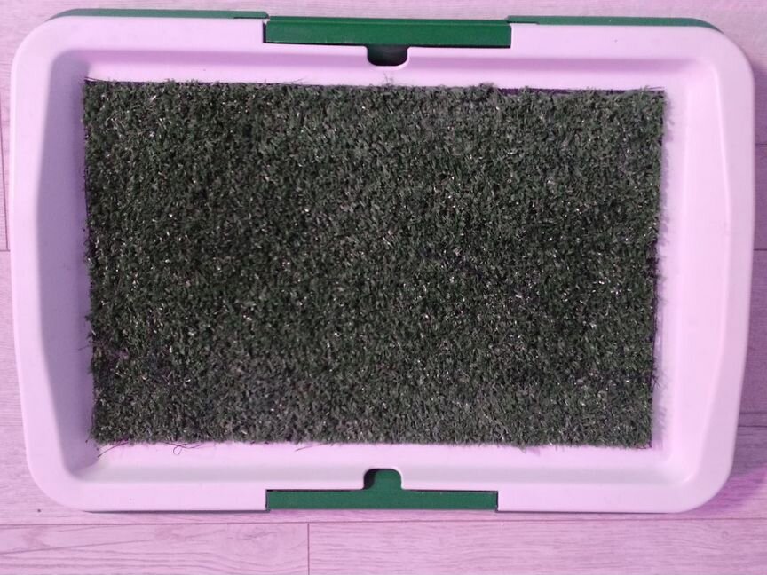 Лоток туалет для собак