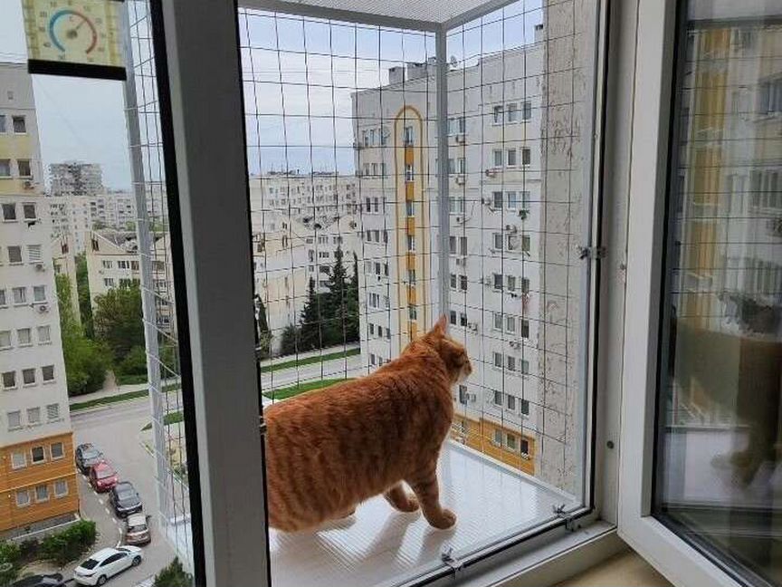 Балкончик для кошек