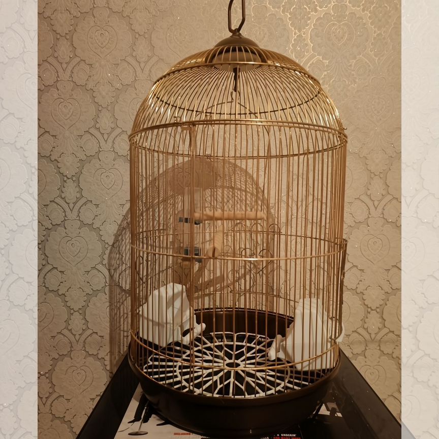 Клетка для волнистого попугая или канареек