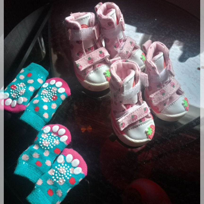 Одежда для маленьких собак