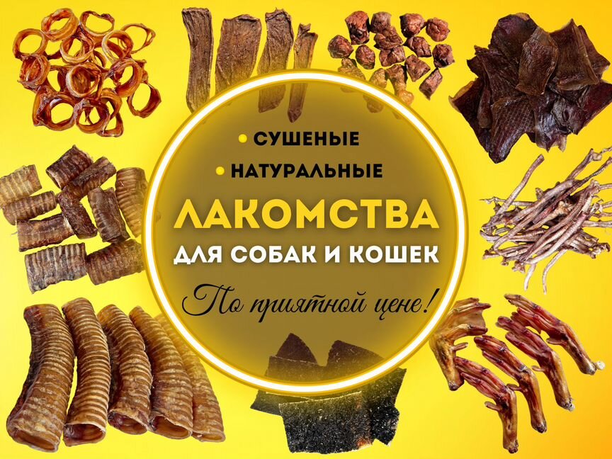 Лакомства для собак и кошек