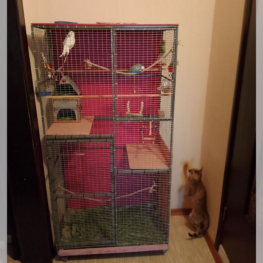 Клетка для попугая большая на колесах