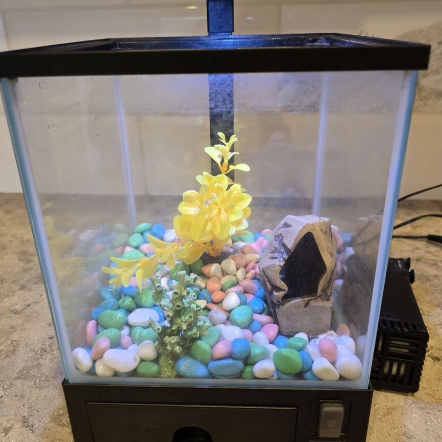 Аквариум для рыбок маленький