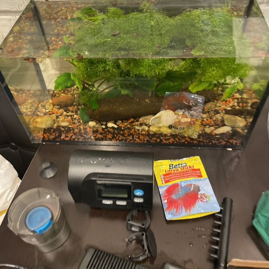 Аквариум и все необходимое для него