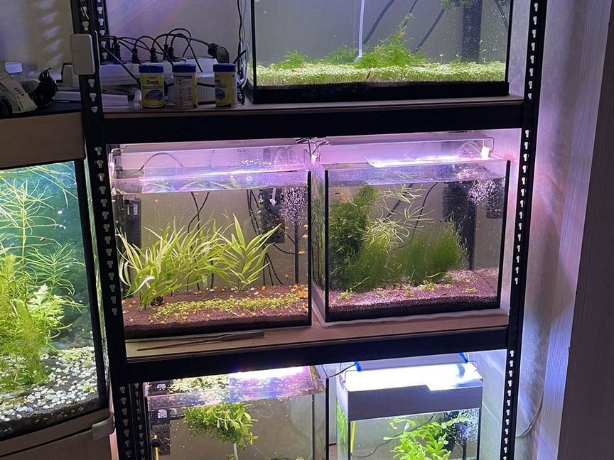 Стеллаж с аквариумами