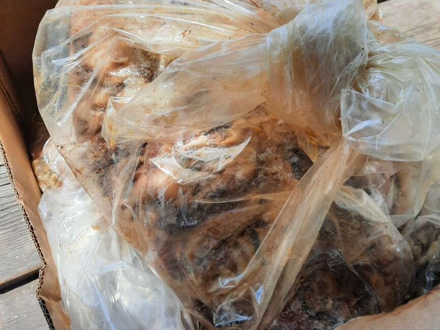 Рыбные отходы корм птицы