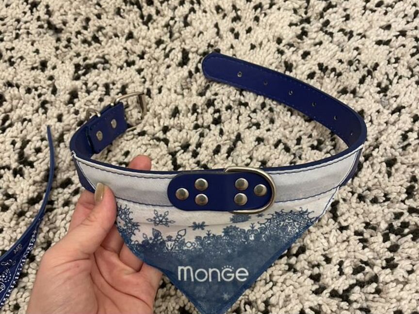 Ошейник бандана