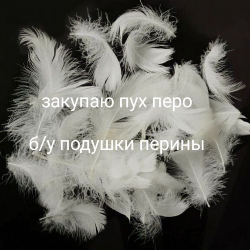 Гусиный пух