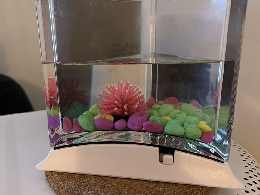 Аквариум ддя петушка с плдсветкой