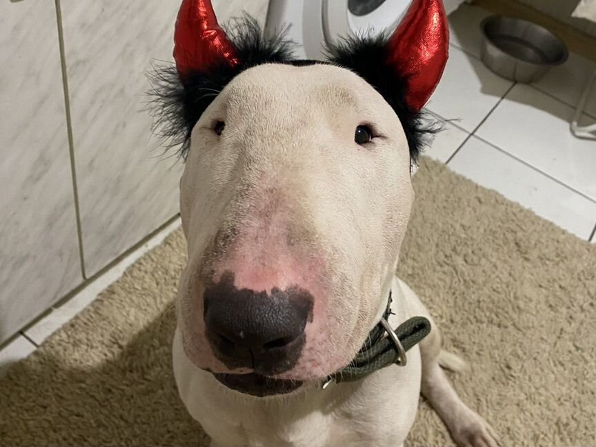 Мальчик були