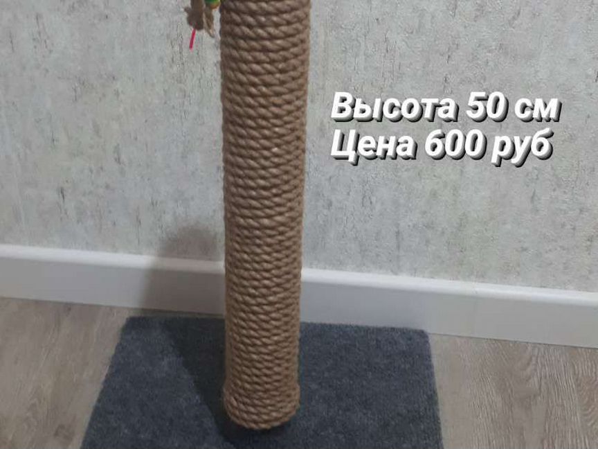 Когтеточка новая