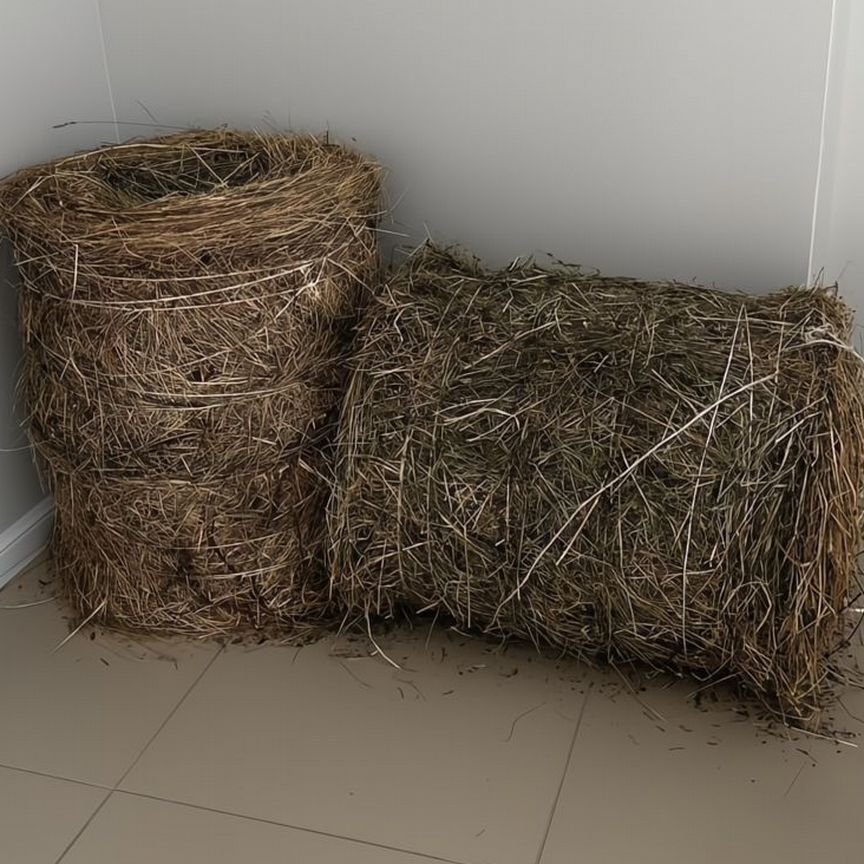 Сено в рулонах