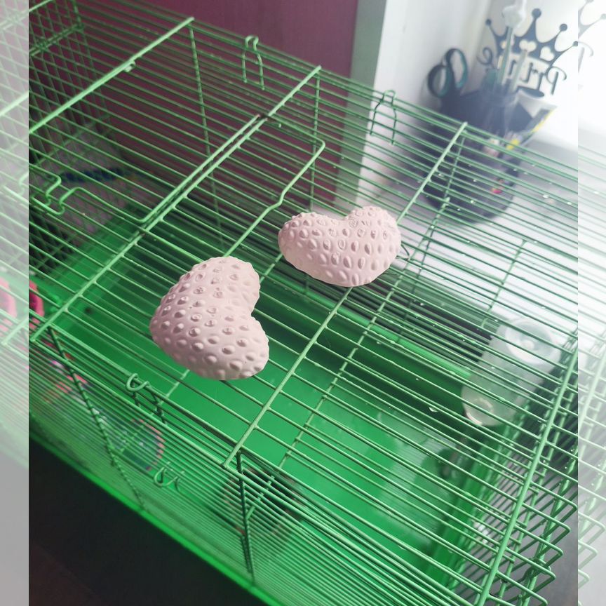 Клетка для грызунов