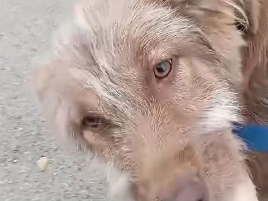 Жители многоэтажки хотят ее отравить