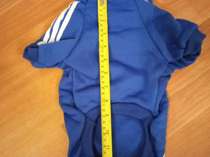 Одежда для таксы