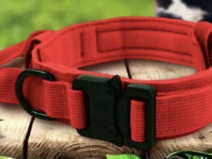 Тактический ошейник для собаки