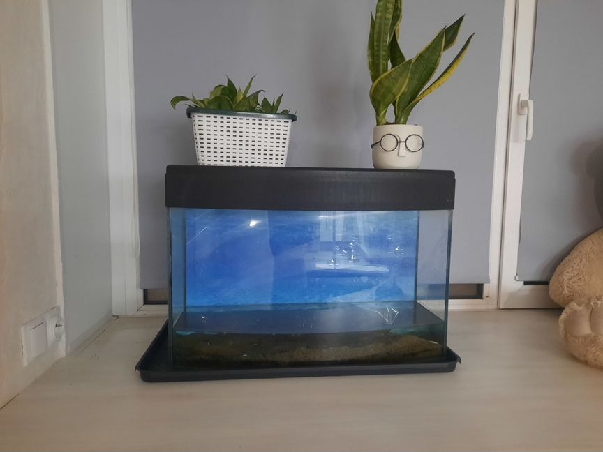 Отдам бесплатно аквариум