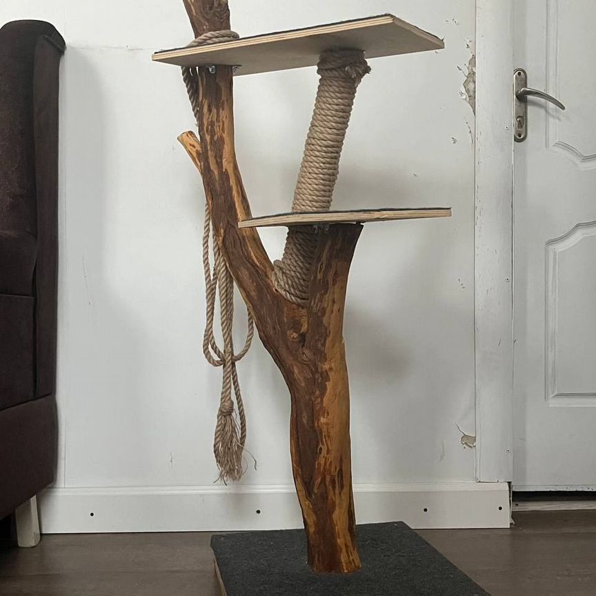 Когтеточка из дерева сломанная бесплатно