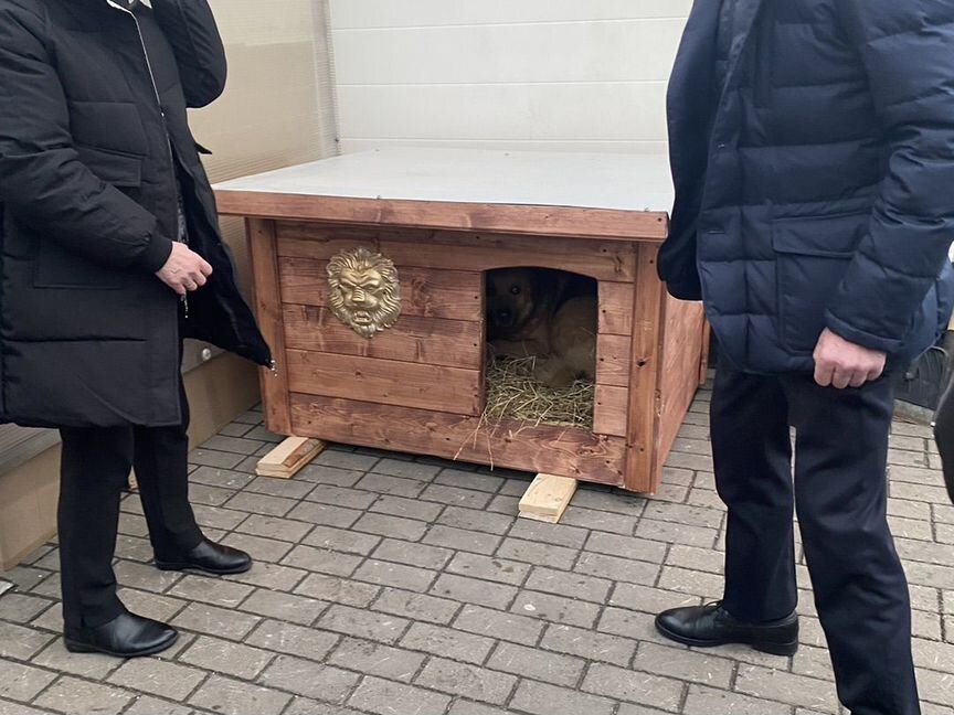 Будки новые для собак и кошек