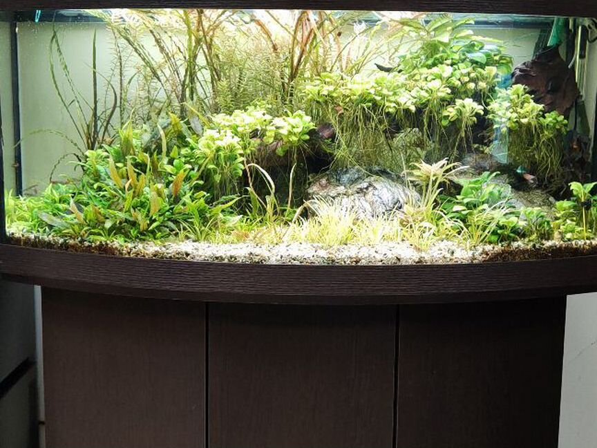 Аквариум с тумбой 240 литров