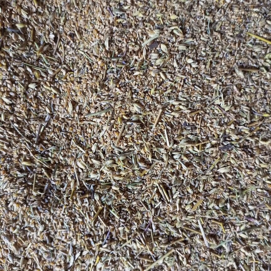 Зерноотходы пшеницы