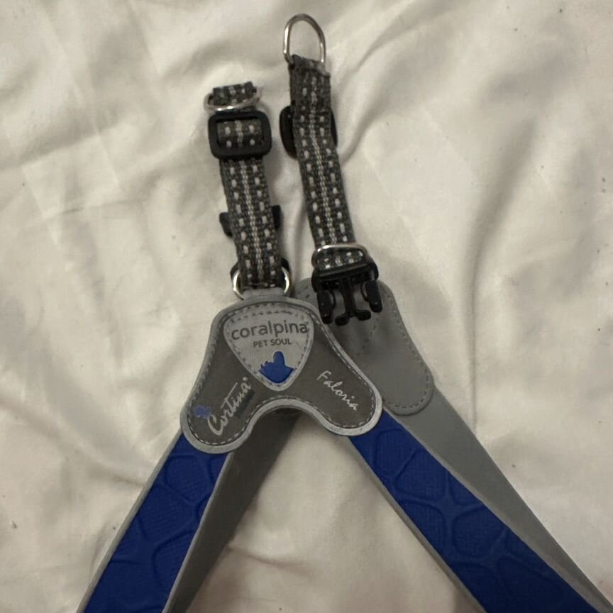 Шлейка для собаки coralpina