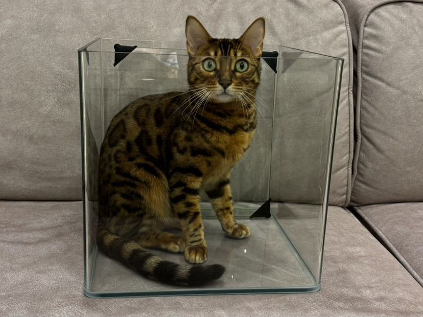 Аквариум prime 27л, размер 30х30х30 см