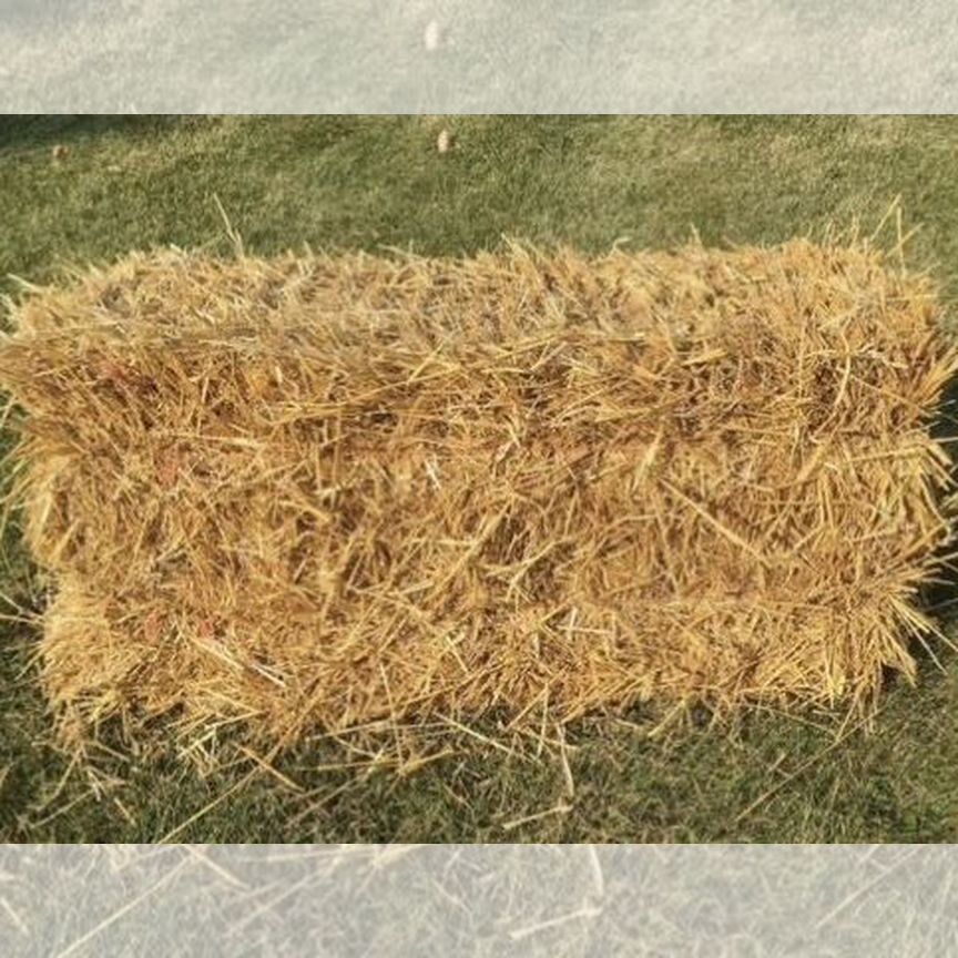 Тюки соломы с доставкой по мо