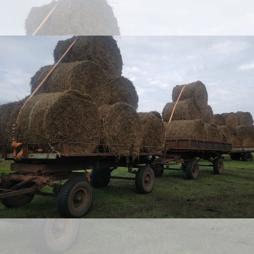 Солома в рулонах