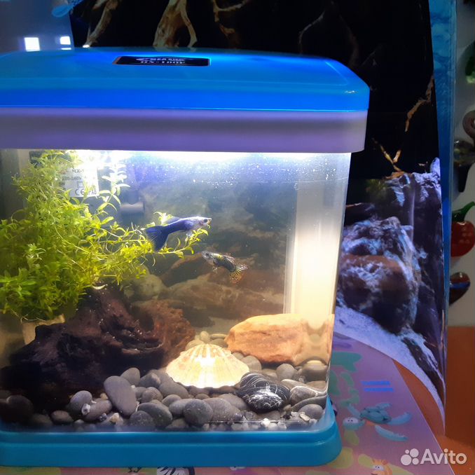 Продам детский аквариум Sea Star 3,5 л синий
