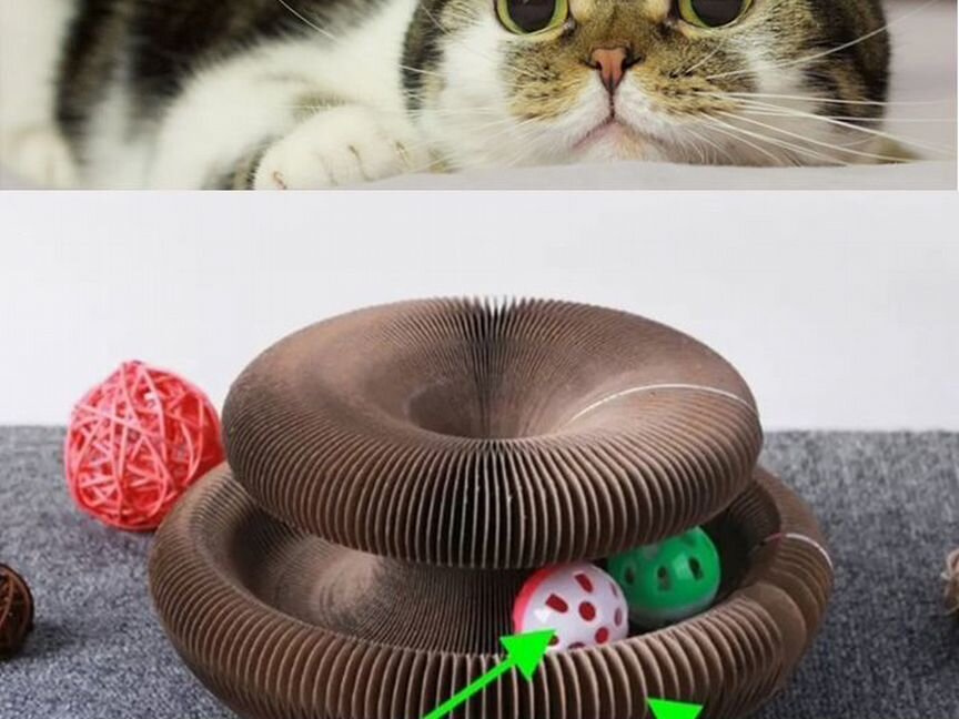 Игрушка когтеточка с шариком. 6 трансформаций