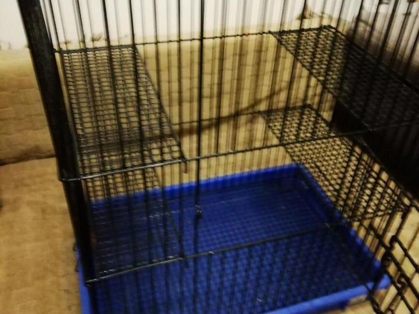 3- х этажная клетка для щиншилл хорьков дегу крыс