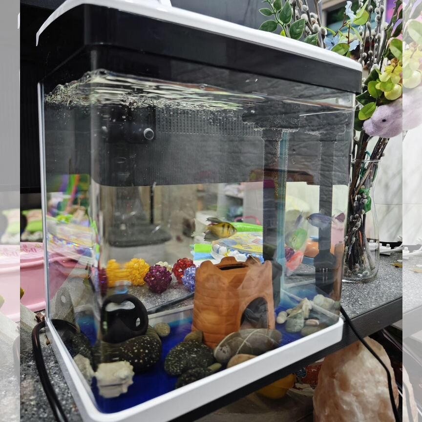 Аквариум с фильтром с рыбками,креветками и сомом