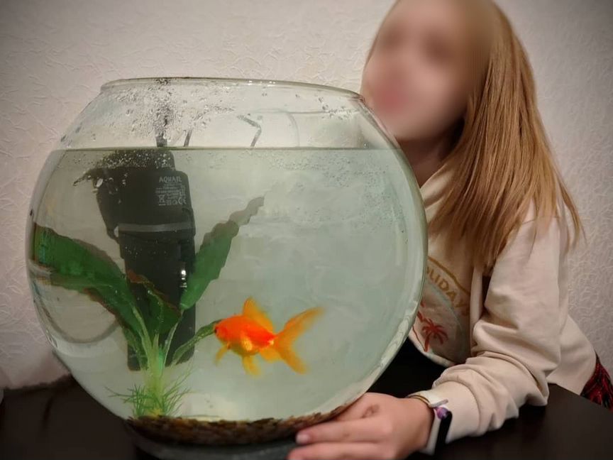 Аквариум круглый d30