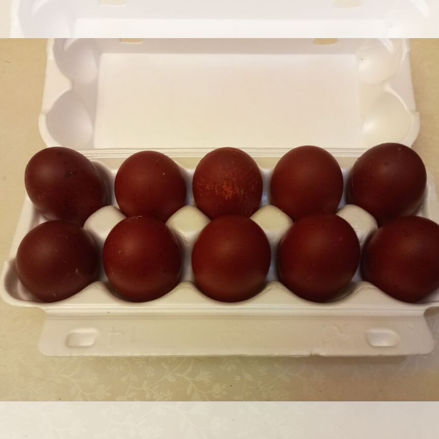 Инкубационное яйцо