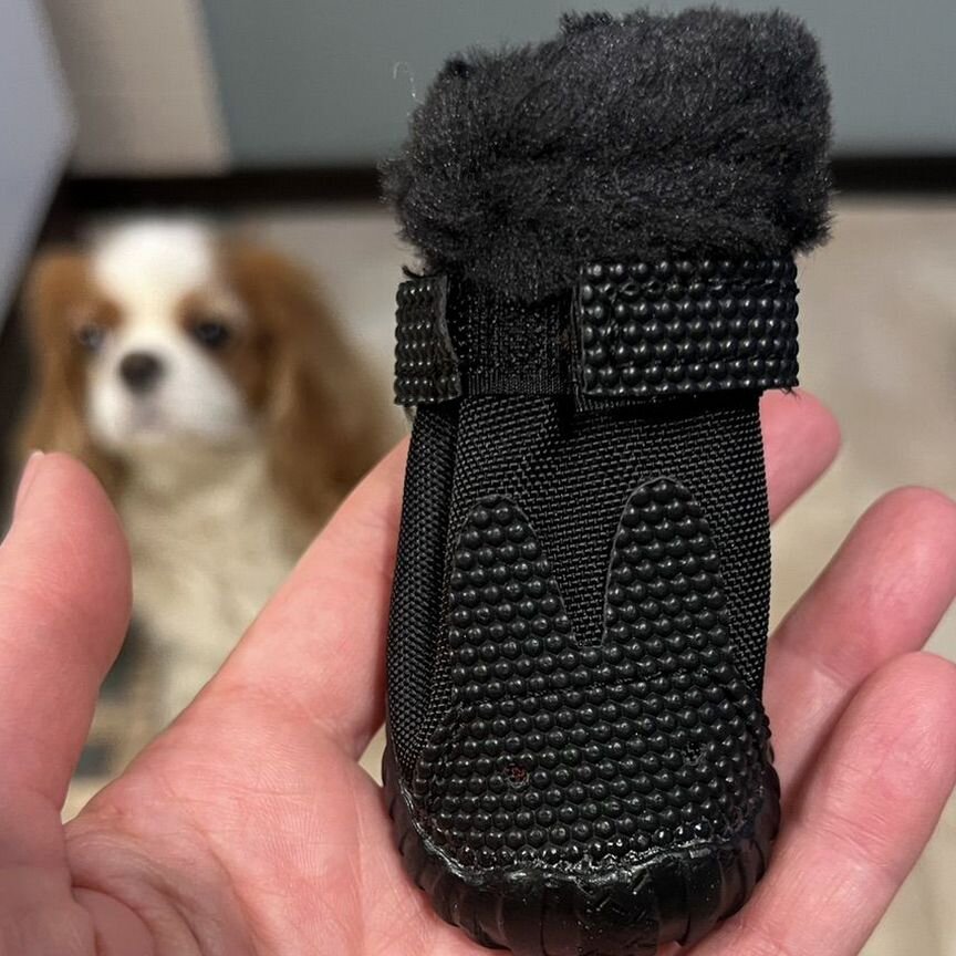 Сапожки для мелких пород собак разм.4